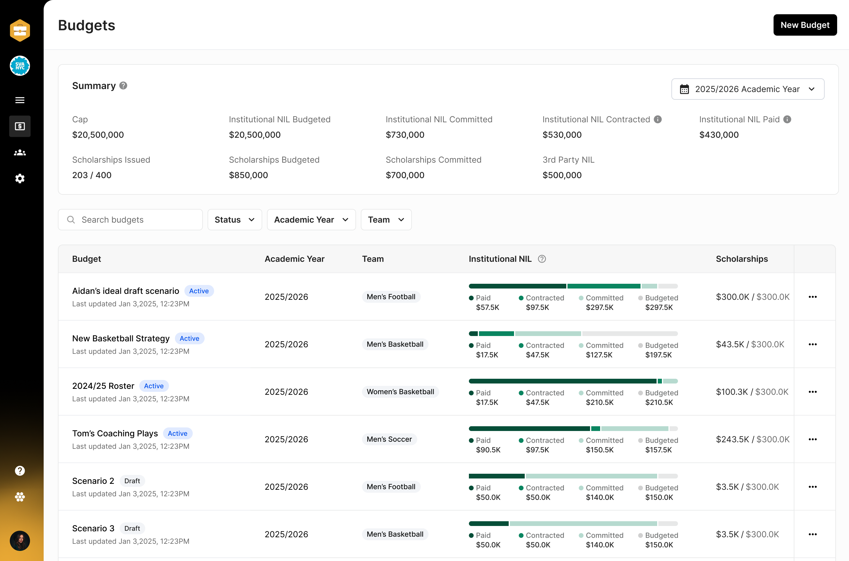 View Organization and Team Budgets