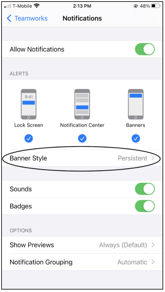 Persistent Notification Settings