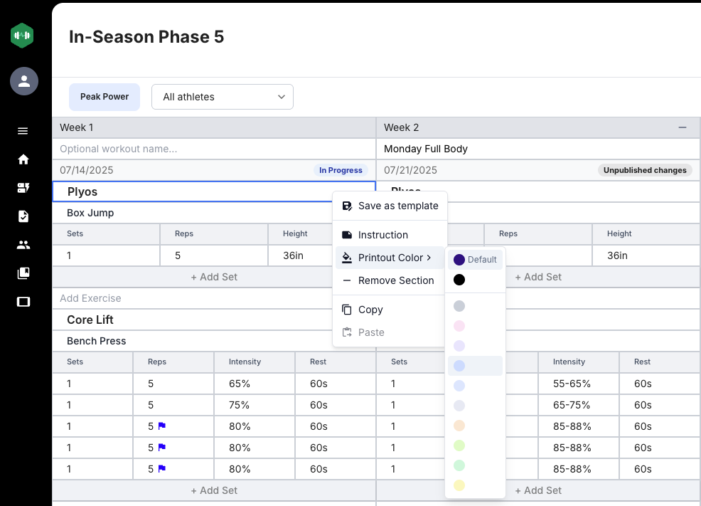 Update Program Styling in Printouts
